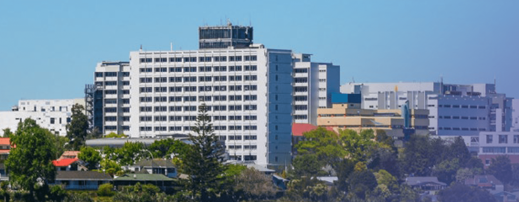 Te Whatu Ora – Health New Zealand Waikato implements leading ...